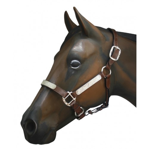 Show Halter Brown Cob - Top Hand Saddlery